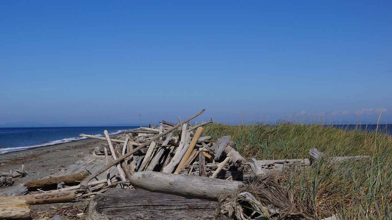 Océan Mer Plage - Photo gratuite sur Pixabay - Pixabay