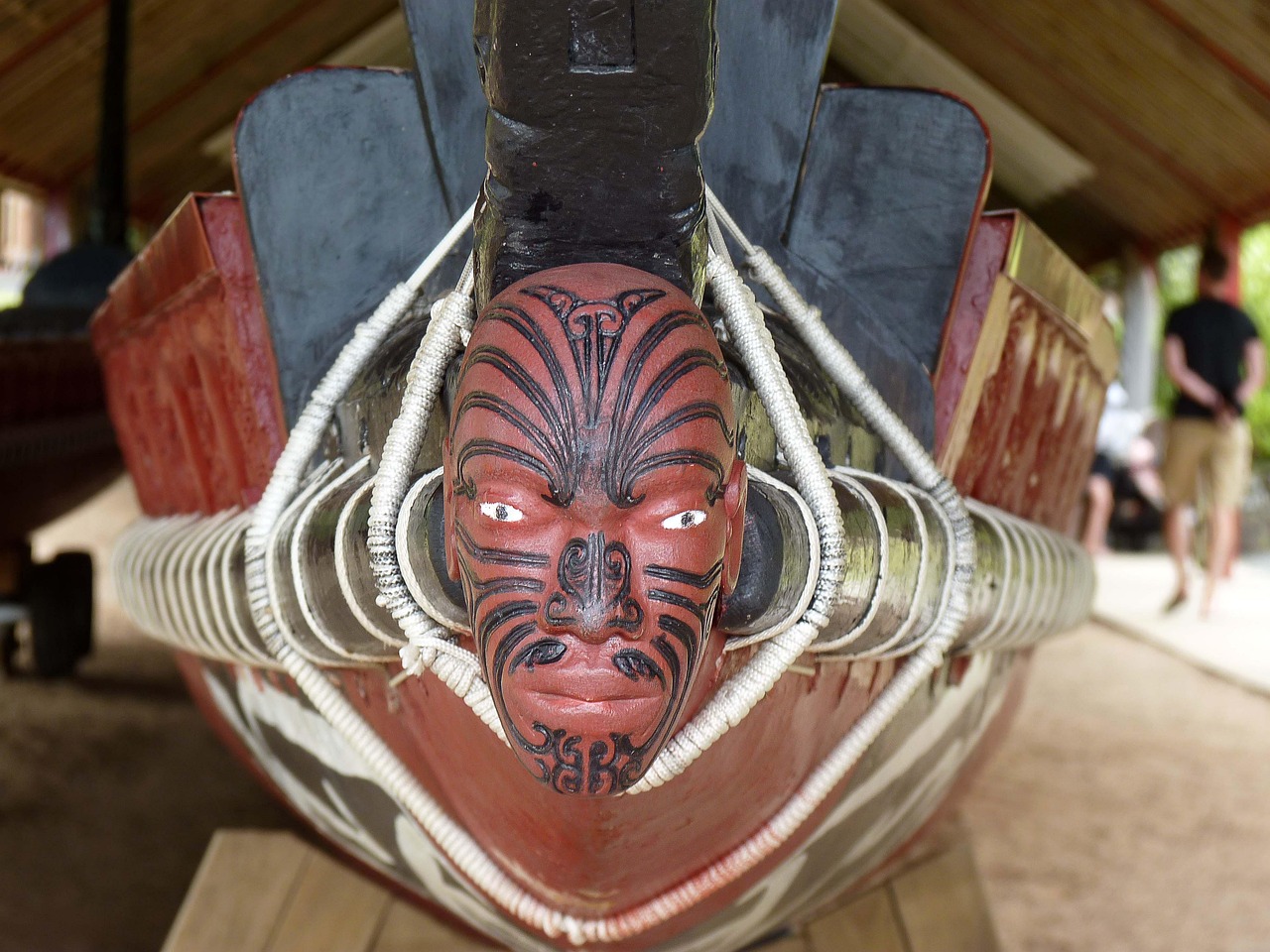 50+ Free Maori & New Zealand Images - Pixabay
