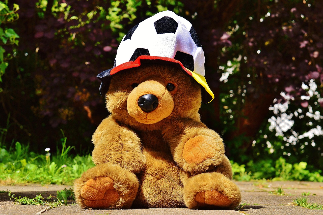 European Championship Soccer Teddy - Free photo on Pixabay - Pixabay