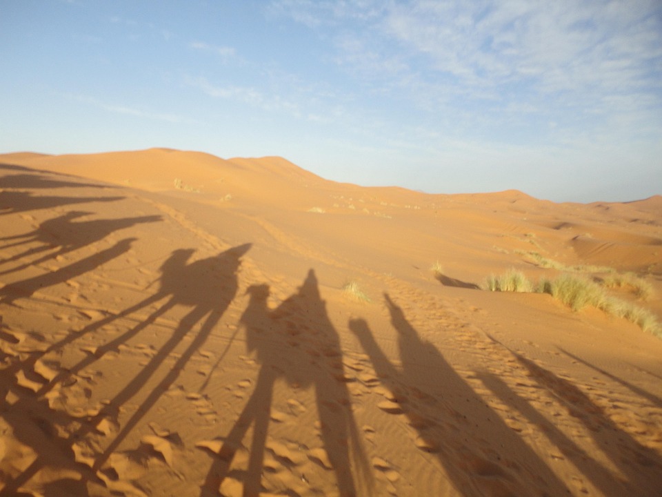 Sahara Desert Sand Shadow - Free photo on Pixabay