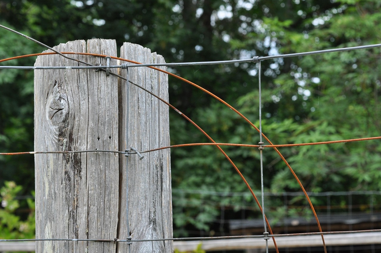 Wood Fence Fencing - Free photo on Pixabay - Pixabay