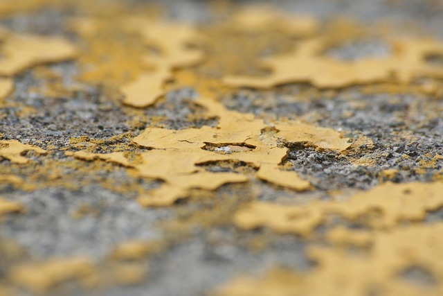 Yellow Asphalt Spots - Free photo on Pixabay