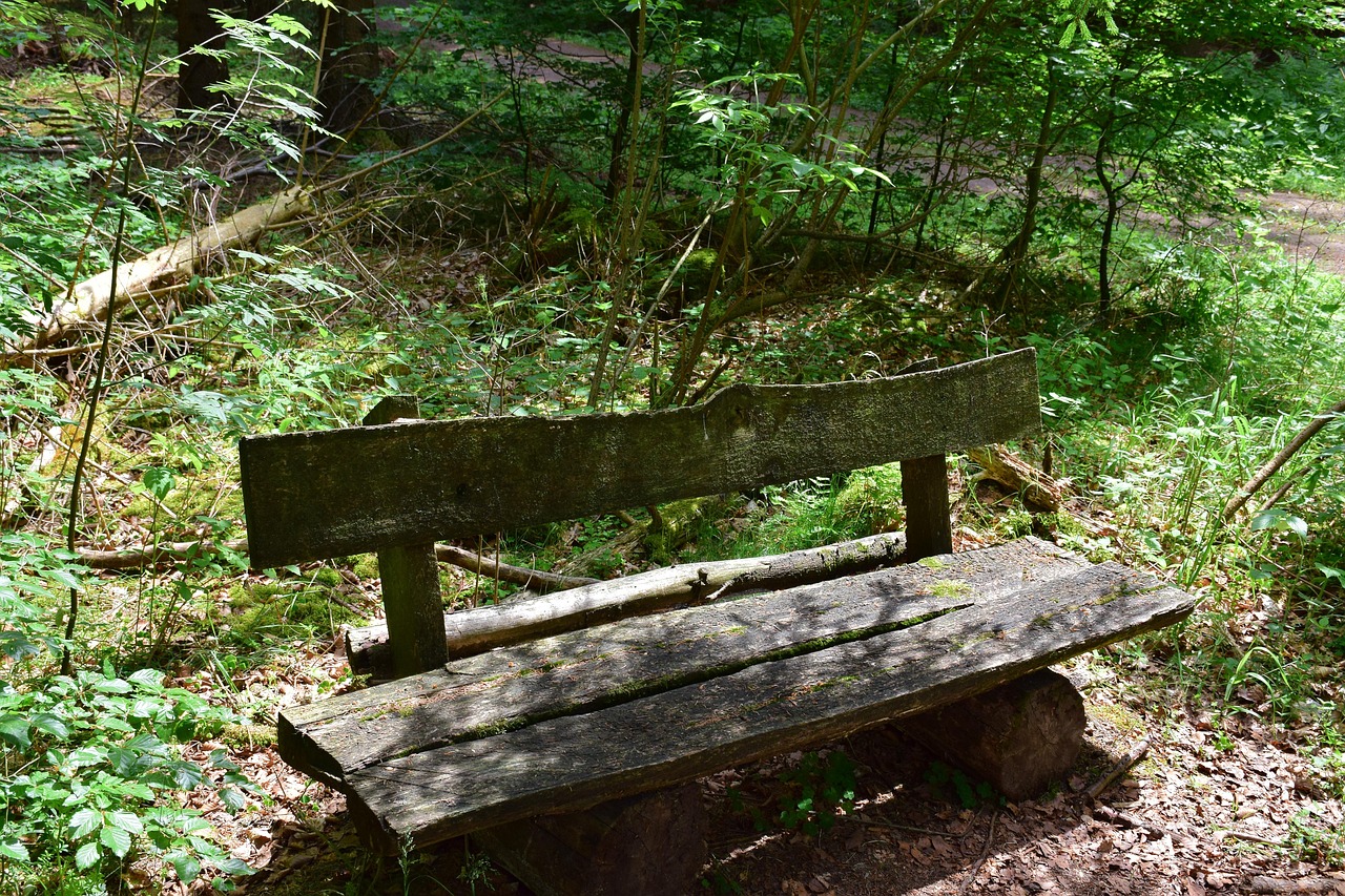 Bank Ruhe Wald - Kostenloses Foto auf Pixabay - Pixabay