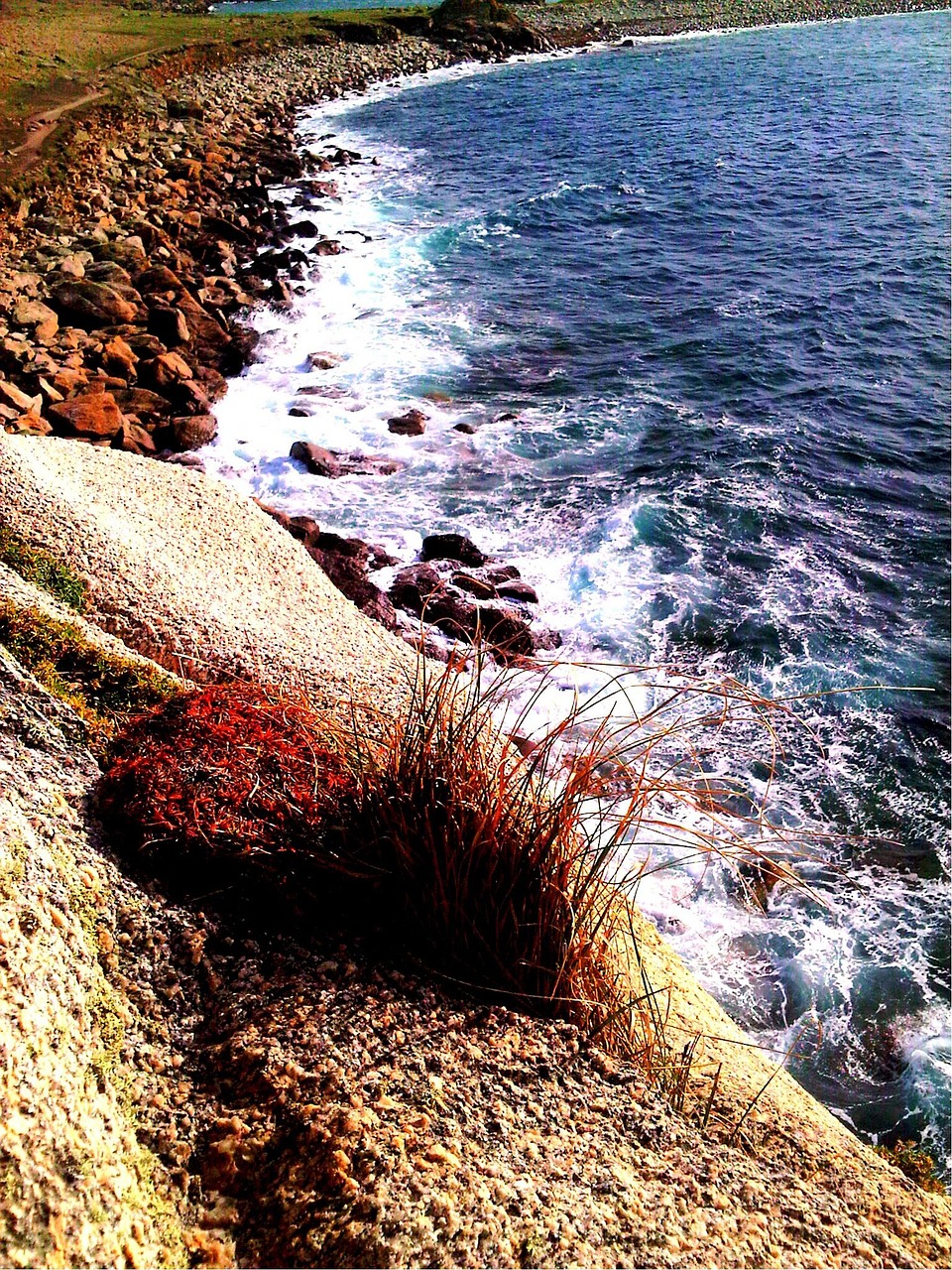 Sea Side Shore Wild - Free photo on Pixabay - Pixabay