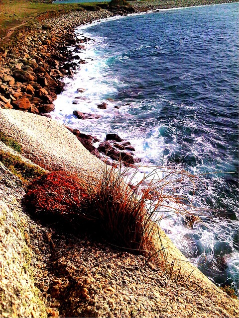 Sea Side Shore Wild - Free photo on Pixabay - Pixabay