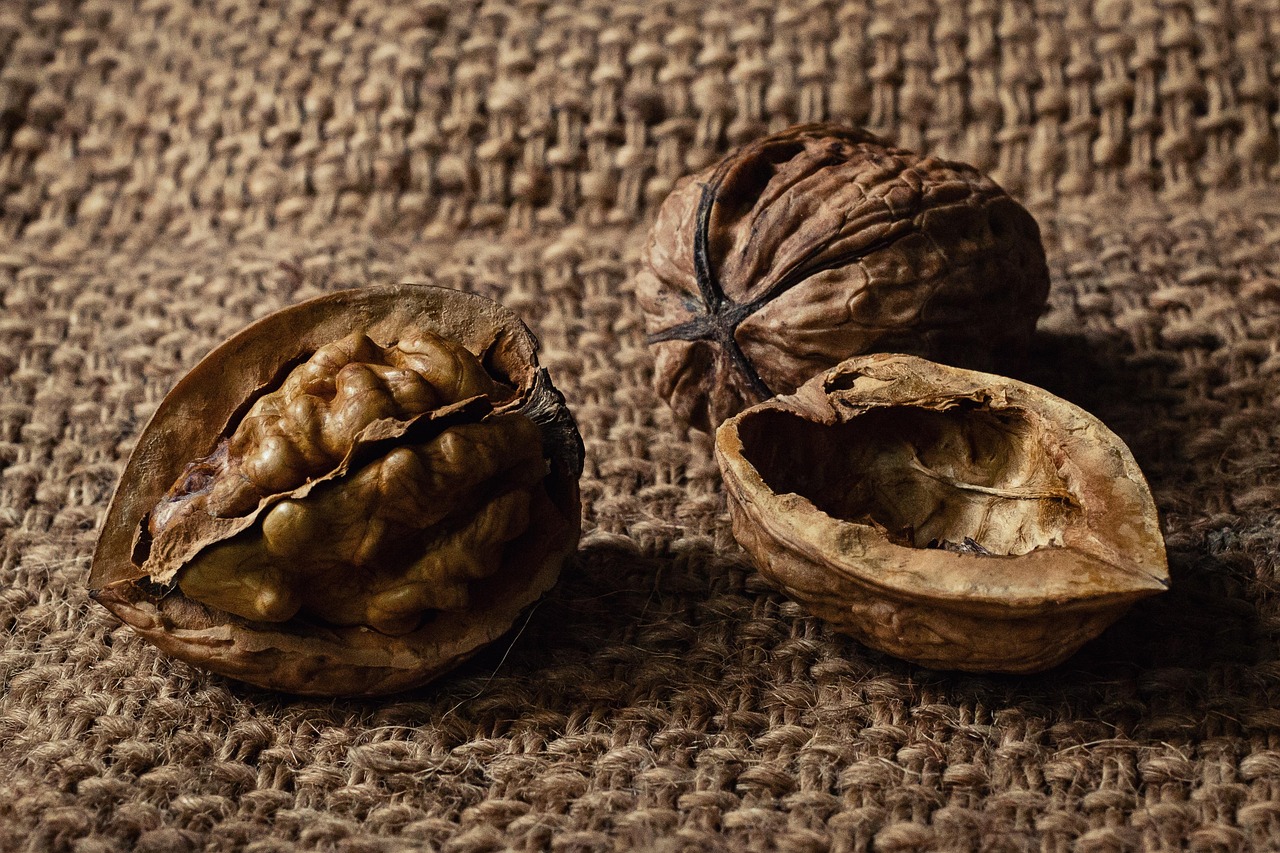 400+ Free Nutrients & Food Photos - Pixabay