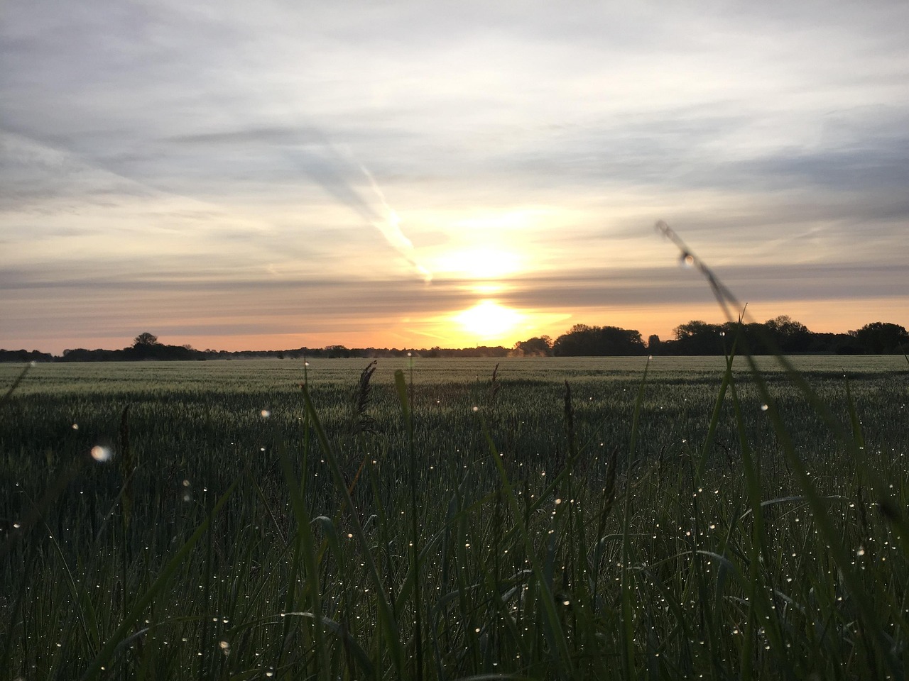 Natural Sun Nature - Free photo on Pixabay - Pixabay
