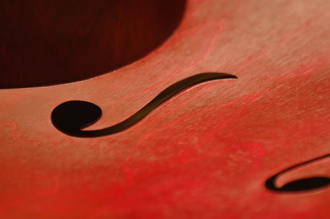 90+ kostenlose Violoncello und Cello-Bilder - Pixabay