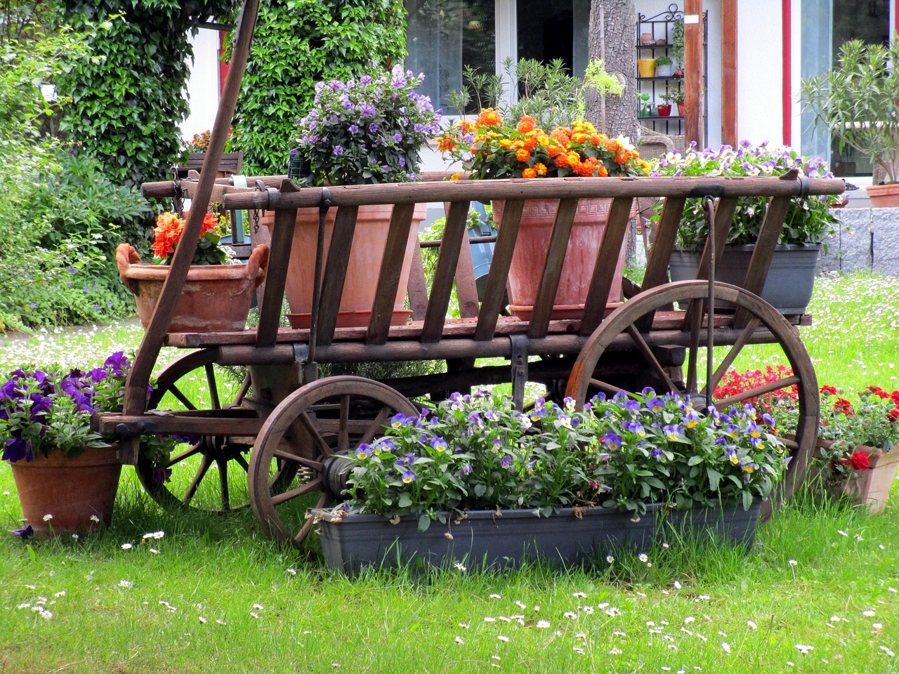 Carro De Flores Flor Atrevimiento - Foto gratis en Pixabay - Pixabay