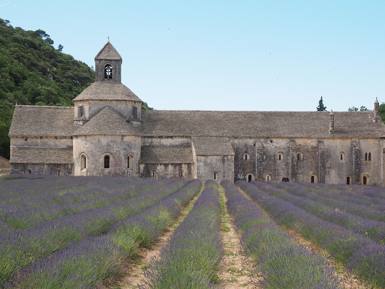 Abbaye De Sénanque Monastery Abbey - Free photo on Pixabay - Pixabay