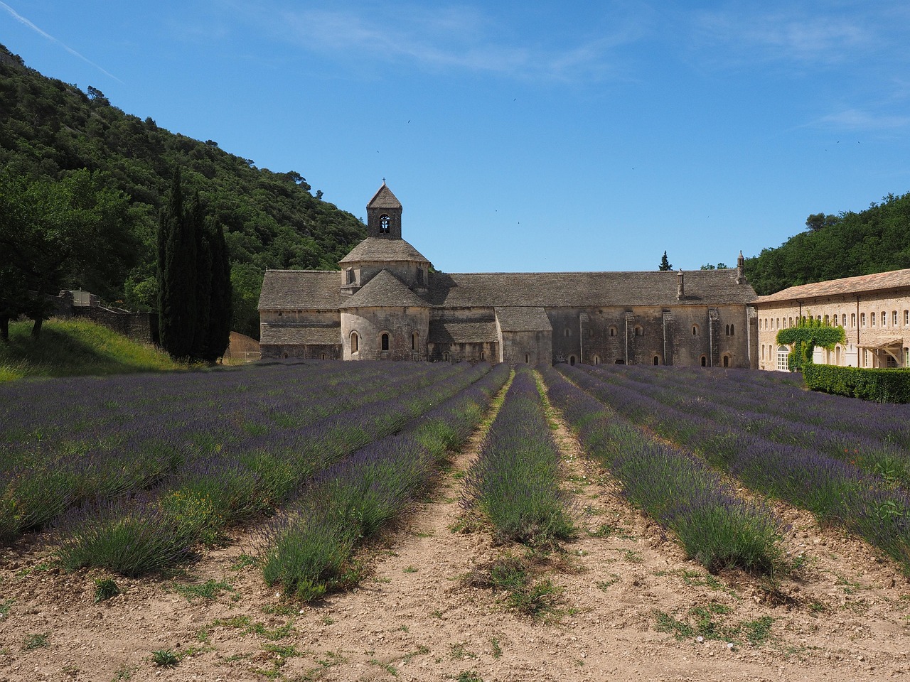 Abbaye De Sénanque Mosteiro Notre - Foto gratuita no Pixabay - Pixabay