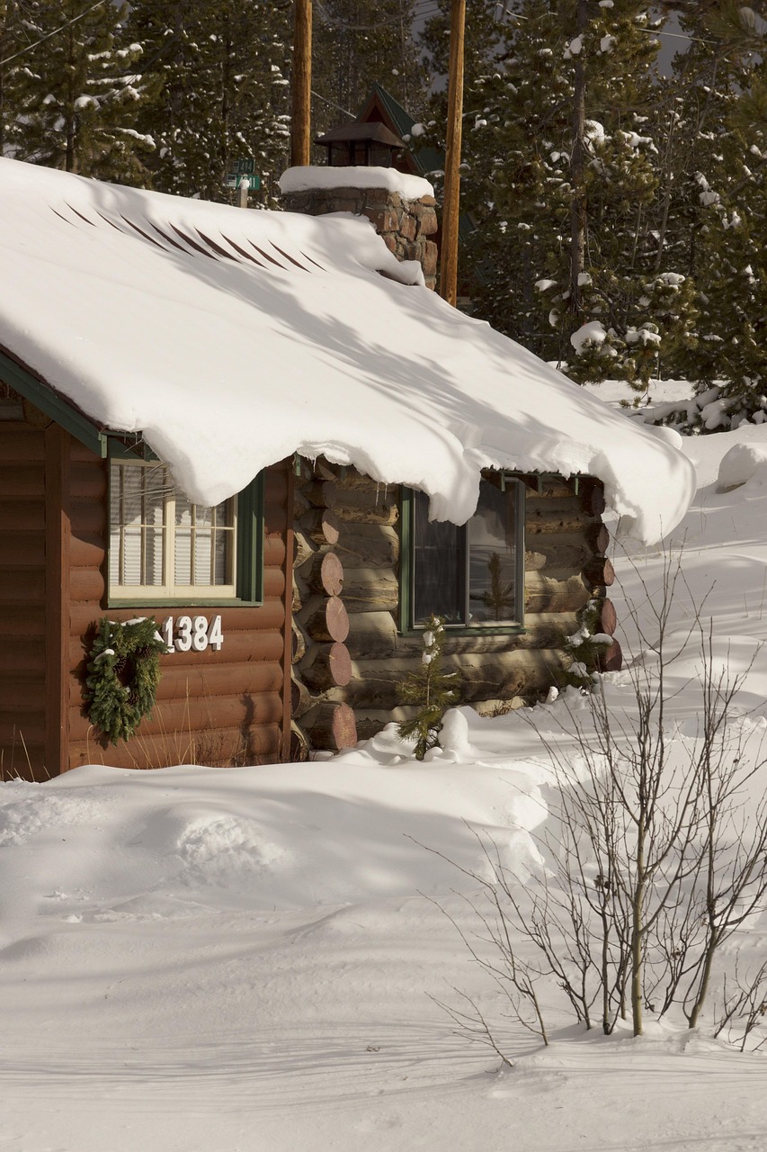 200+ Free Log Cabin & Cabin Photos - Pixabay