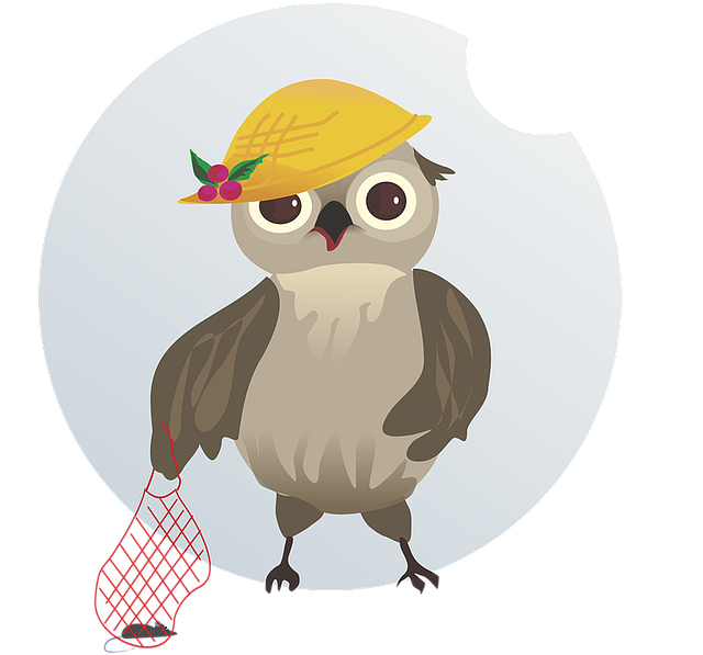 10,000+ Free Vector Owl & Owl Images - Pixabay