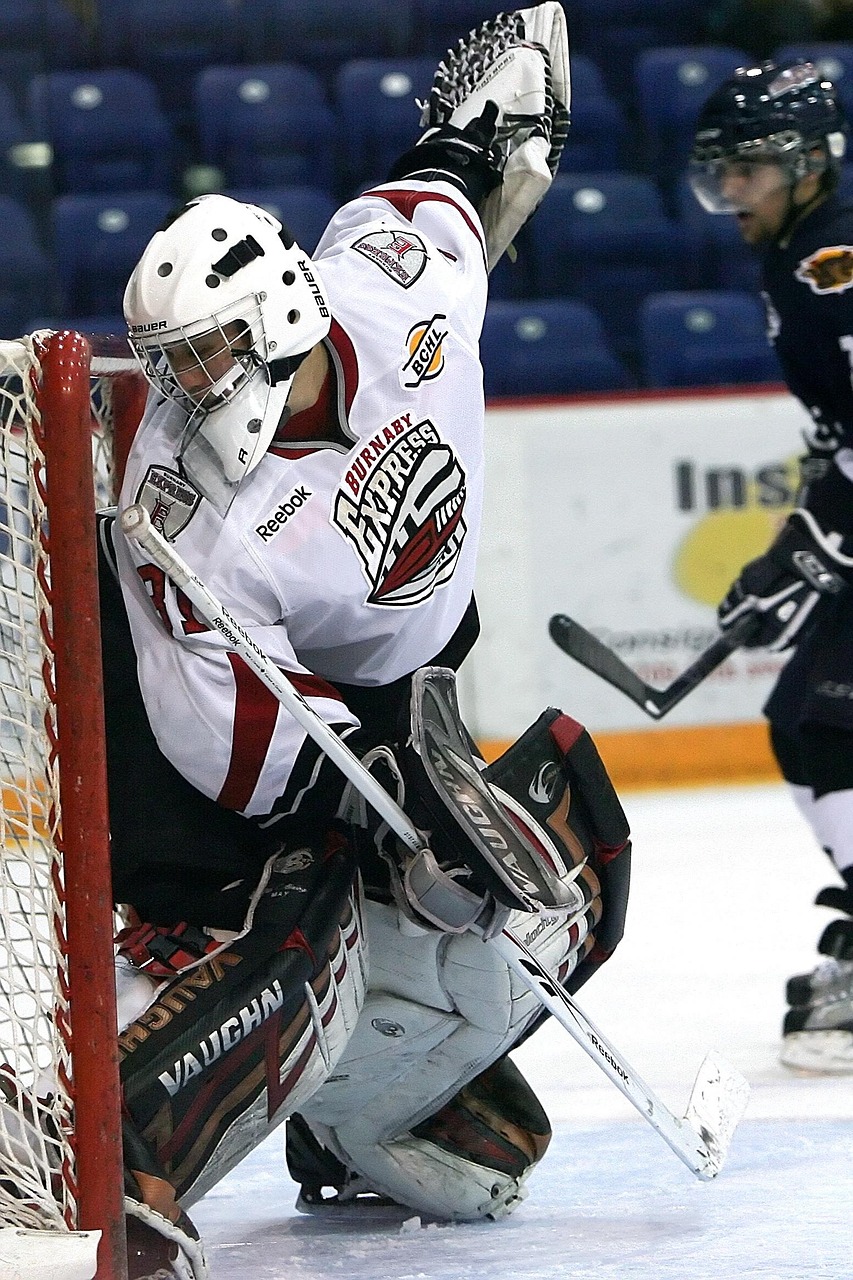Hockey Goalie Goalkeeper - Free photo on Pixabay