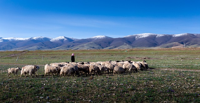 Qinghai Lake Xining - Free photo on Pixabay