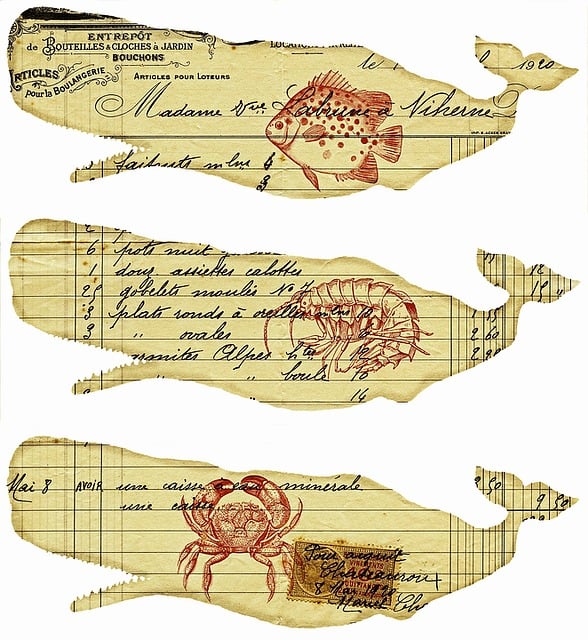 400,000+ Free Ephemera Background & Ephemera Images - Pixabay