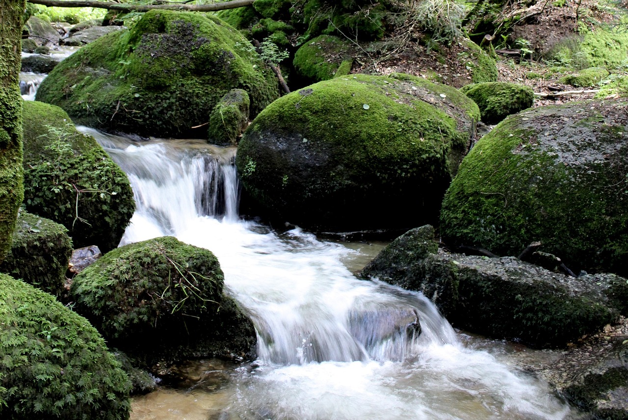 L'Eau Des Pierres Mousse - Photo gratuite sur Pixabay - Pixabay