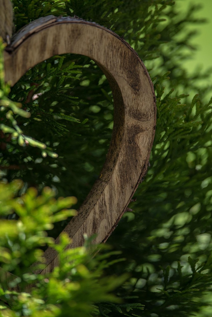 Groente Hout Half Houten Hart Boom - Gratis foto op Pixabay - Pixabay