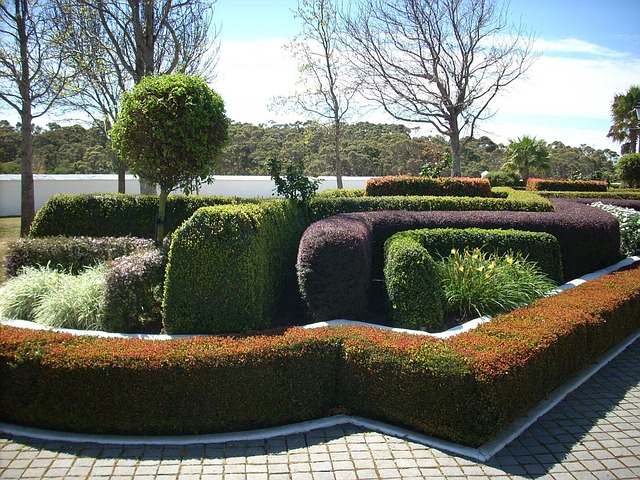 Garden Hedge Topiary - Free photo on Pixabay