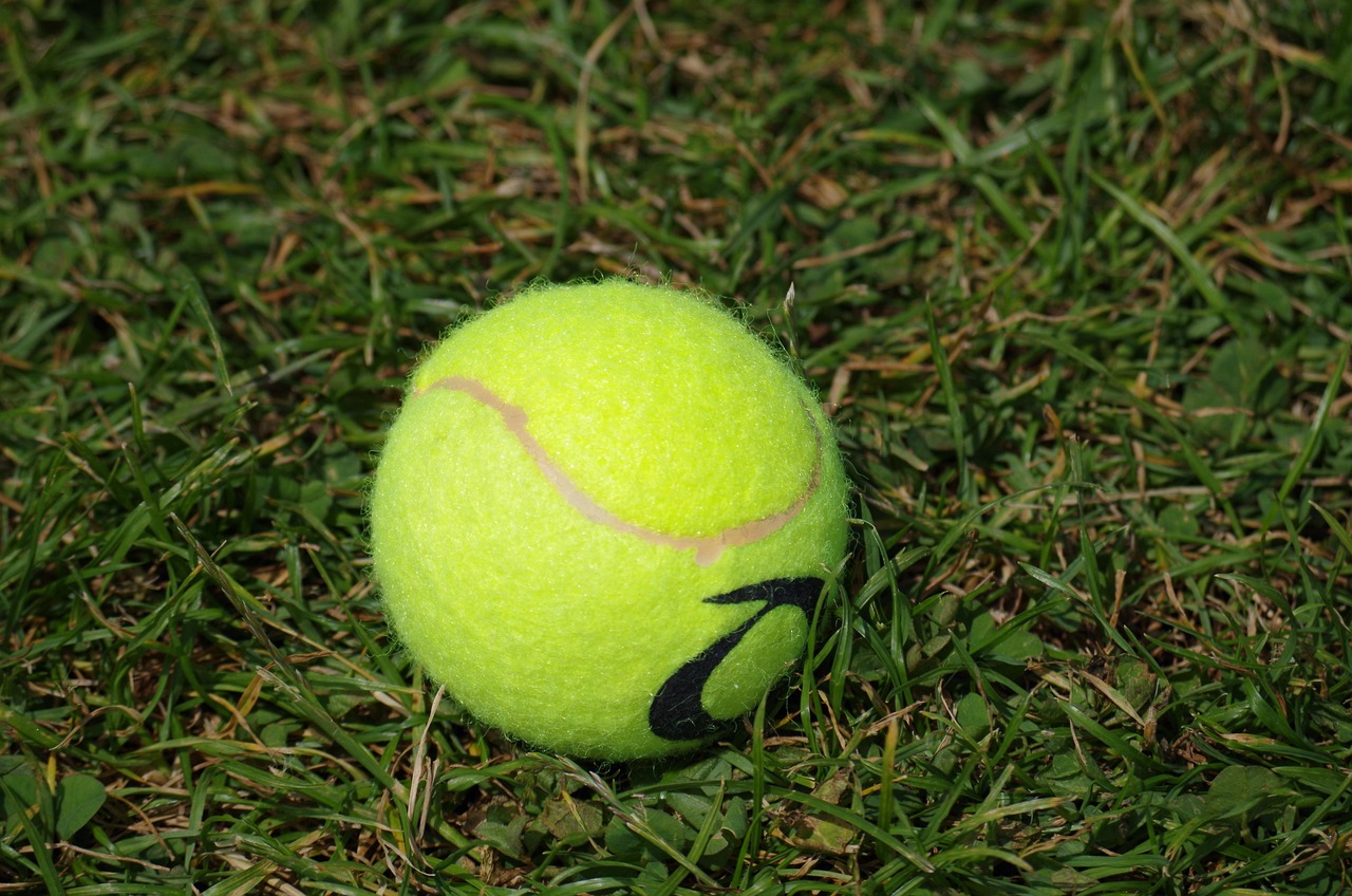 10,000+ Free Tennis Ball Reuse & Tennis Images - Pixabay