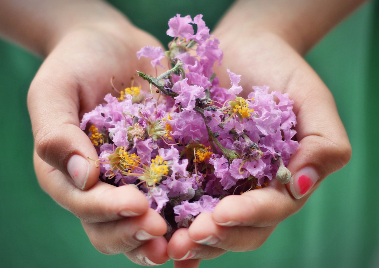 30,000+ Free Hand Holding Flowers & Nature Images - Pixabay