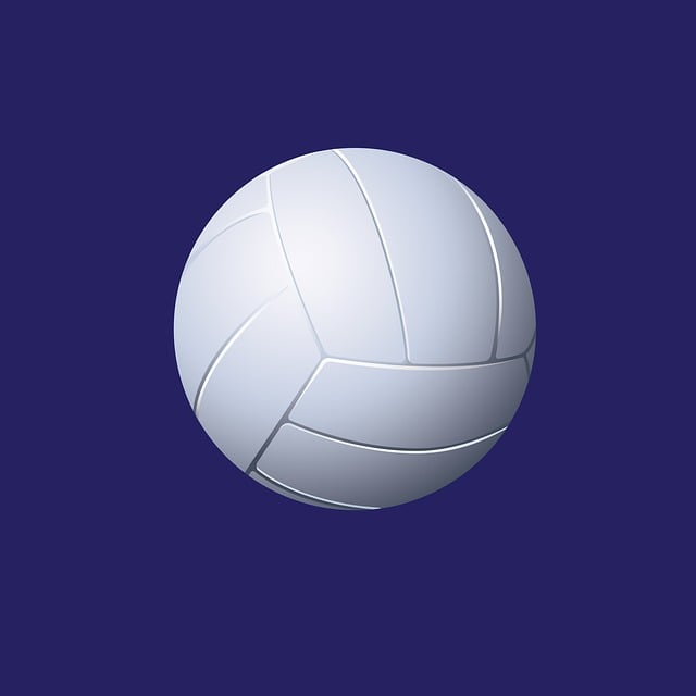 Free Ball Vector Art - Download 1,379+ Ball Icons & Graphics - Pixabay