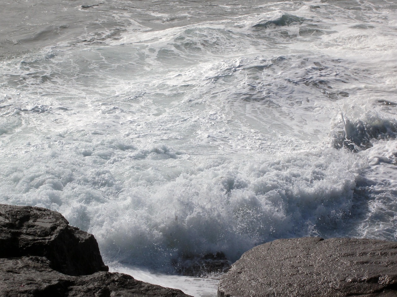 Sea Side Wild - Free photo on Pixabay - Pixabay