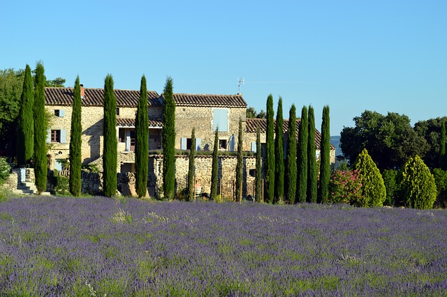Paysage Provence Lavande - Photo gratuite sur Pixabay - Pixabay