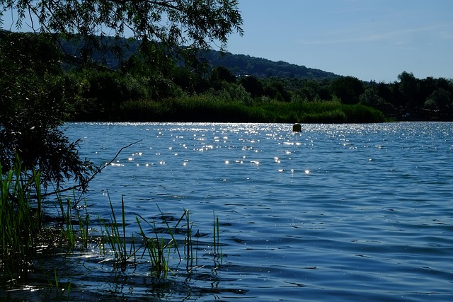 Innsjø Speilbilde Vann - Gratis foto på Pixabay - Pixabay