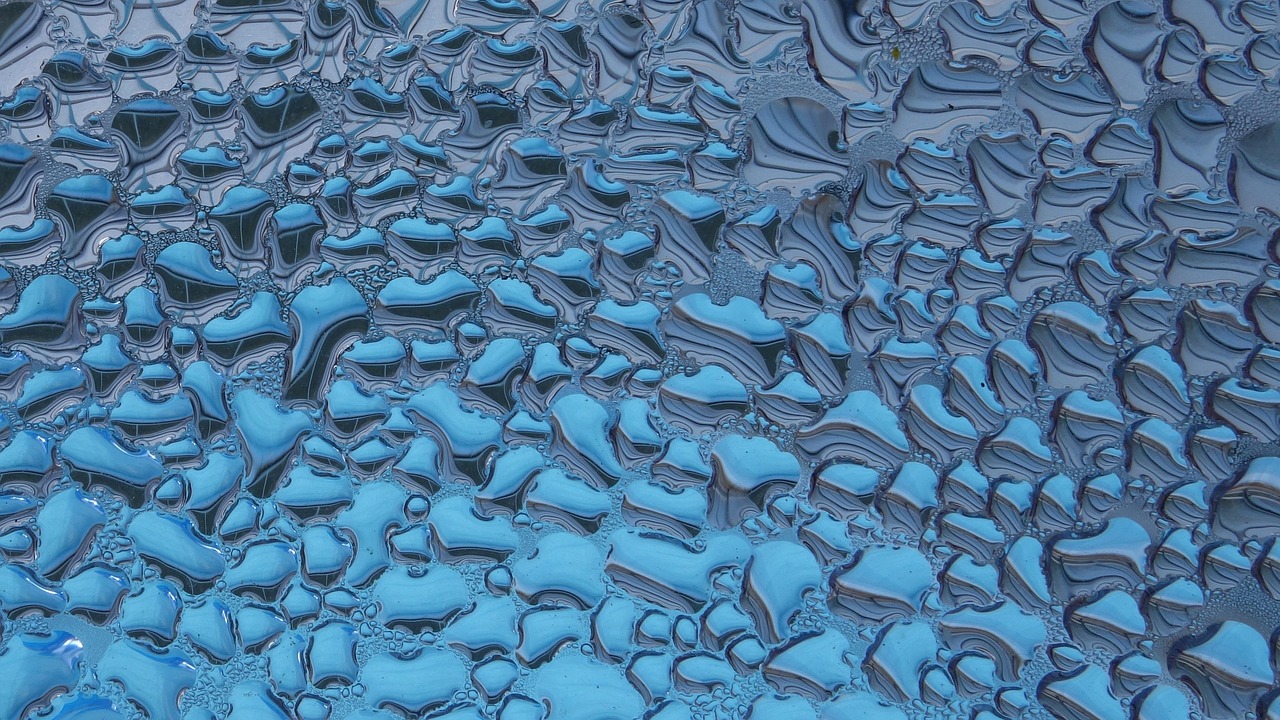 200+ Free Condensation & Nature Images - Pixabay
