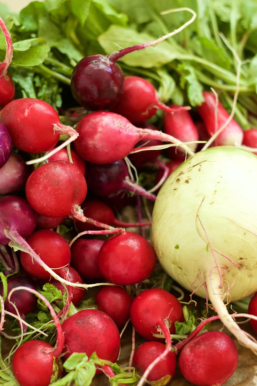 Rabanete Vermelho - Foto gratuita no Pixabay - Pixabay