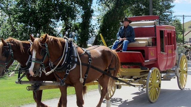 Stagecoach Wild West Horses - Free photo on Pixabay - Pixabay