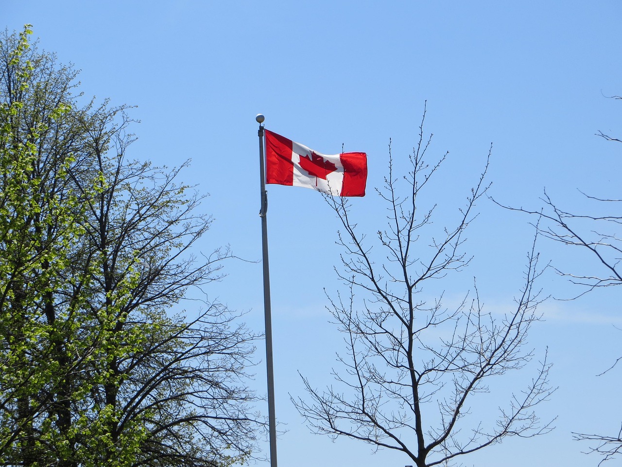 90+ Free Canadian Flag & Canada Images - Pixabay