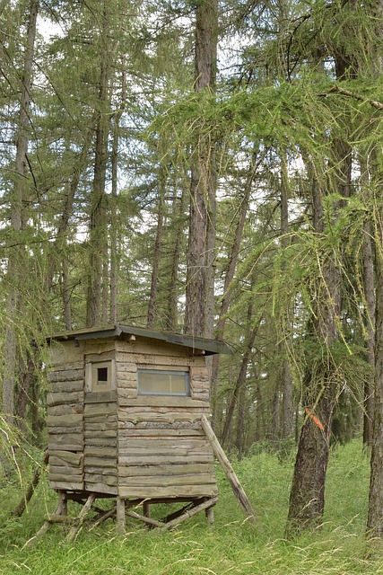Hunting Lodge Forest Seat - Free photo on Pixabay - Pixabay