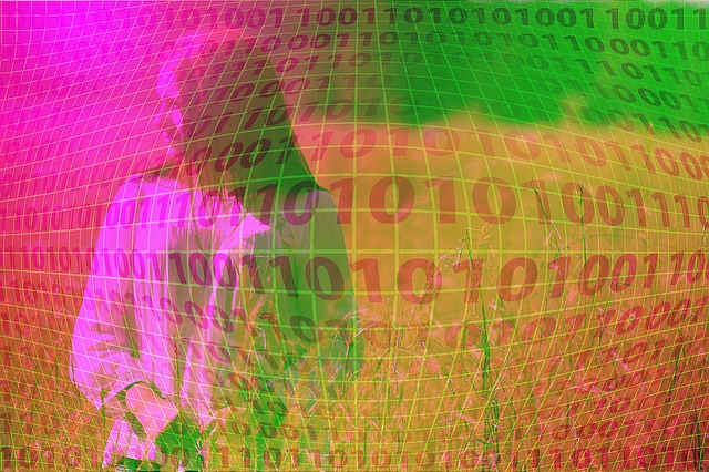 Digitale Fotografie Digitales Bild - Kostenloses Bild auf Pixabay