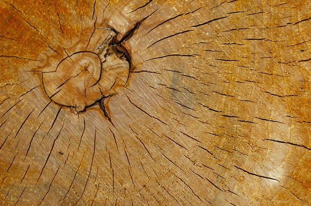 Holzmaserung Holz Textur - Kostenloses Foto auf Pixabay - Pixabay