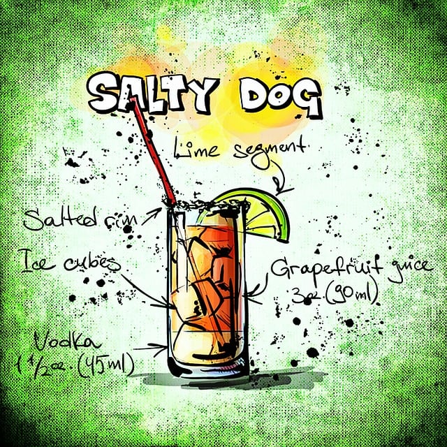 Download Salty Dog, Cocktail, Drink. Royalty-Free Stock Illustration ...