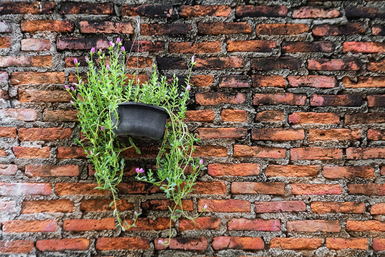 90+ Free Pink Bricks & Toulouse Images - Pixabay