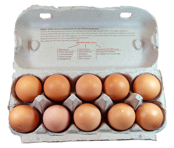 1,000+ Free Chicken Egg & Chicken Images - Pixabay
