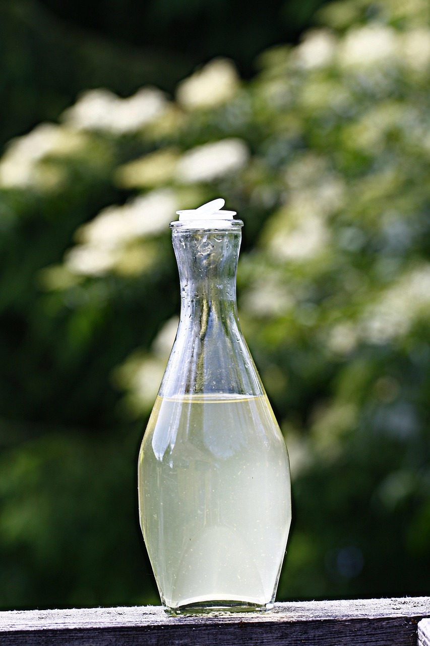 Full Of Hollunder Hollund Juice - Free photo on Pixabay - Pixabay