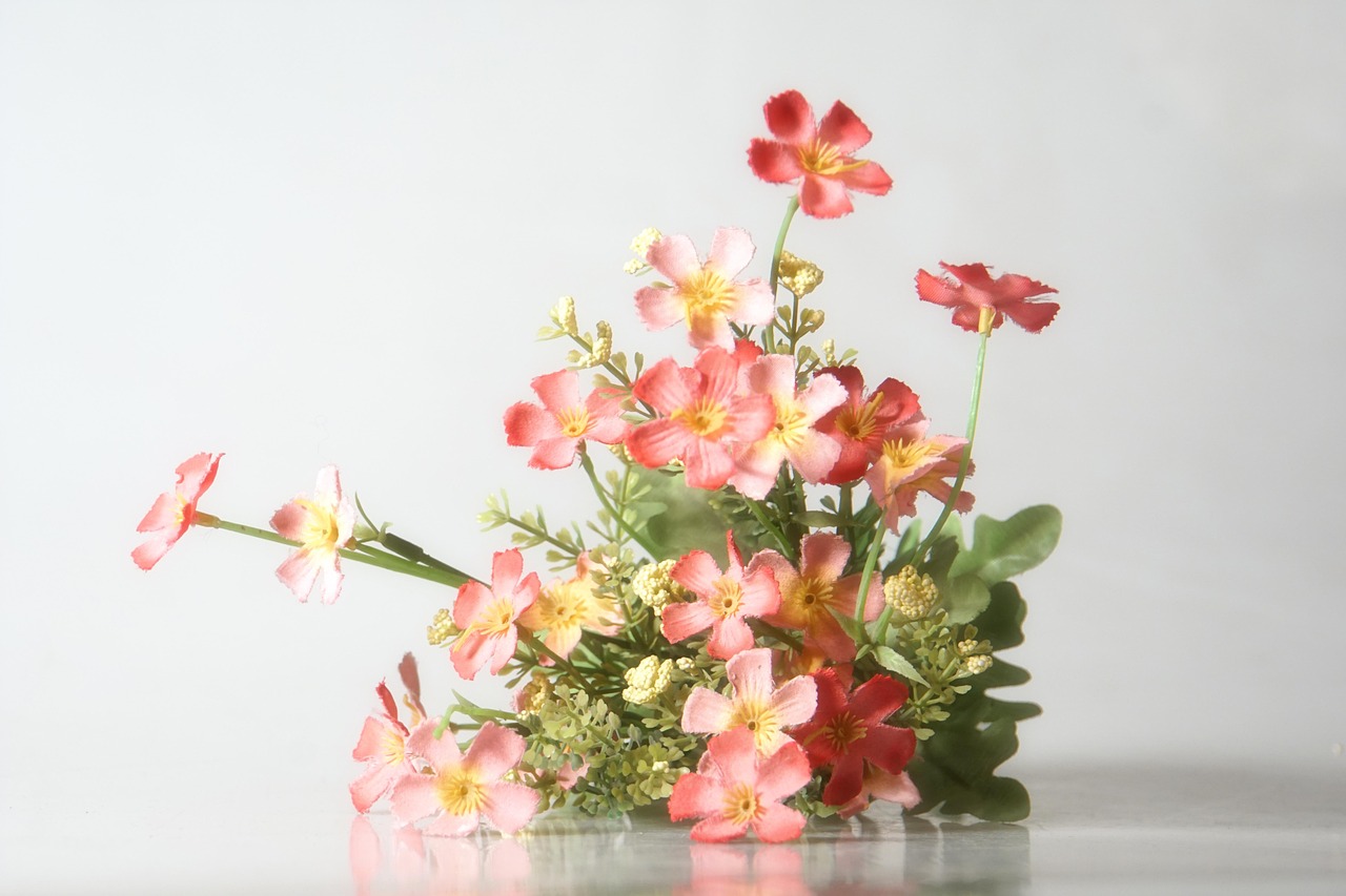 100+ Free Still - Life Photography & Still Life Images - Pixabay