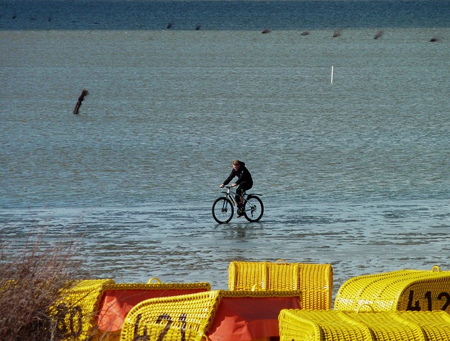 Watt North Sea Cycle - Free photo on Pixabay