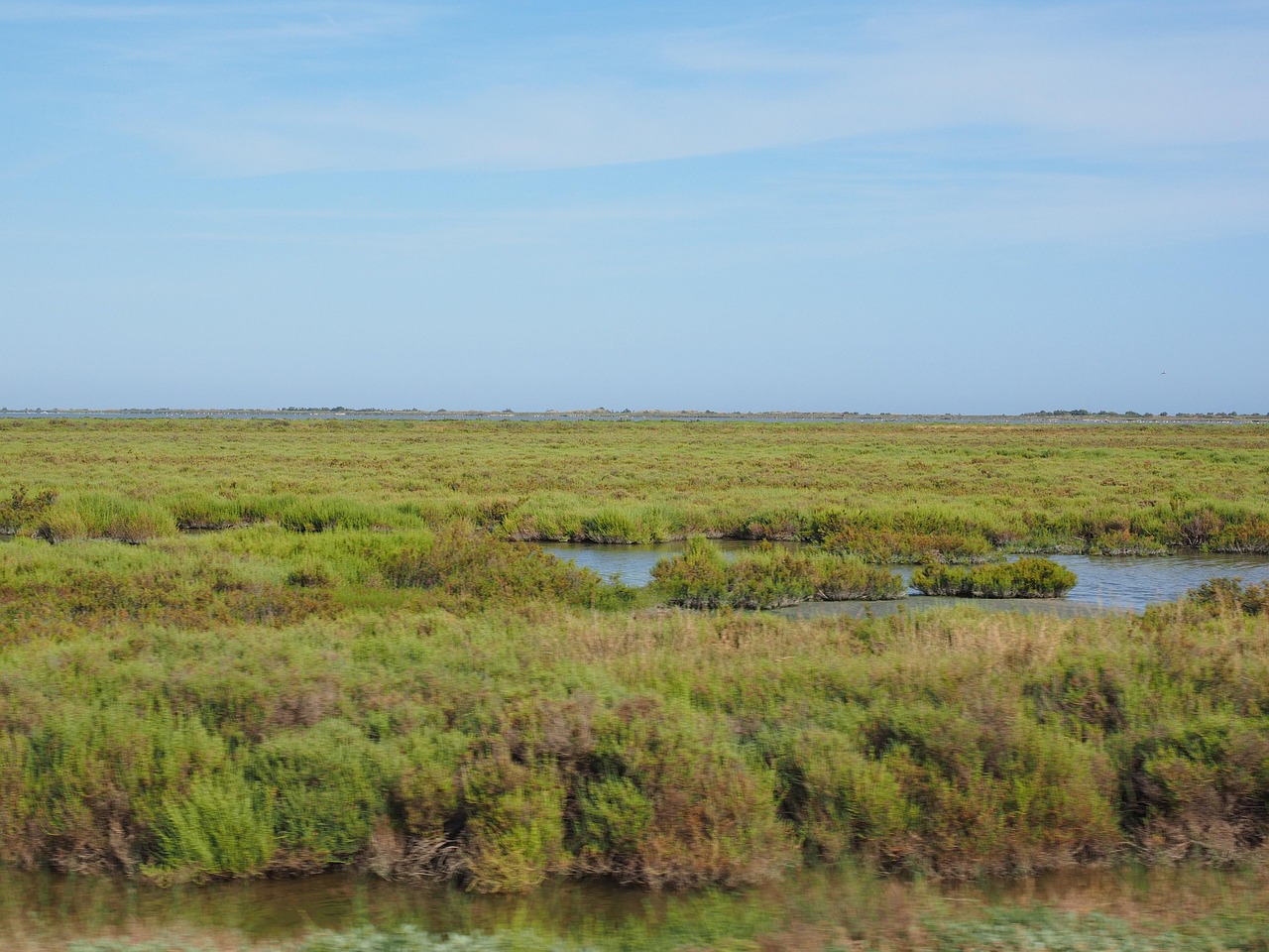 Camargue Natural Park - Free photo on Pixabay - Pixabay
