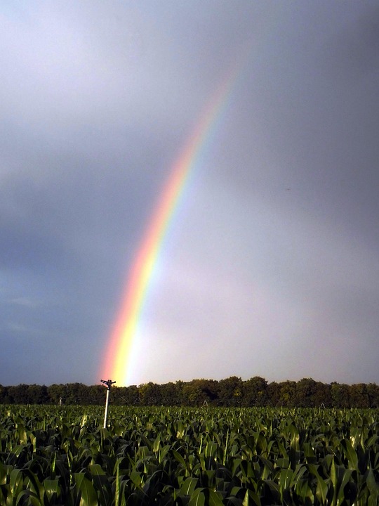 Rainbow Colors Storm - Free photo on Pixabay - Pixabay