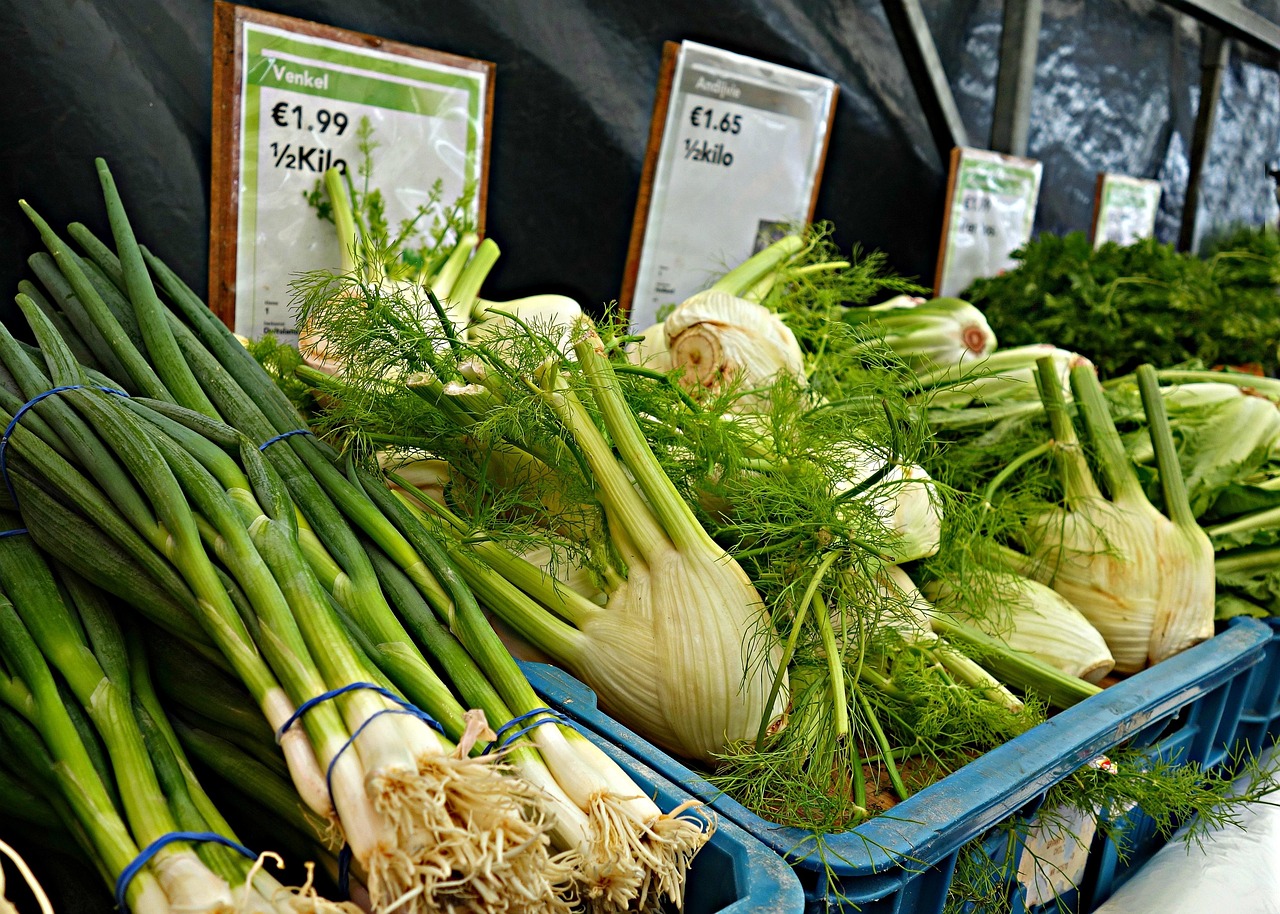 Shalott Onion Fennel - Free photo on Pixabay