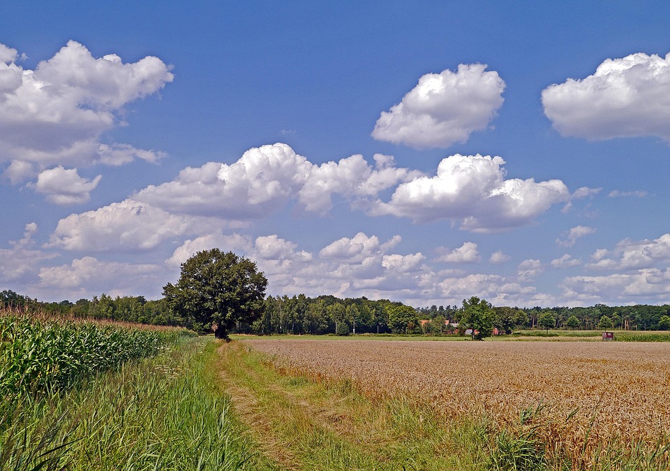 Summer Day Country Rural - Free photo on Pixabay - Pixabay