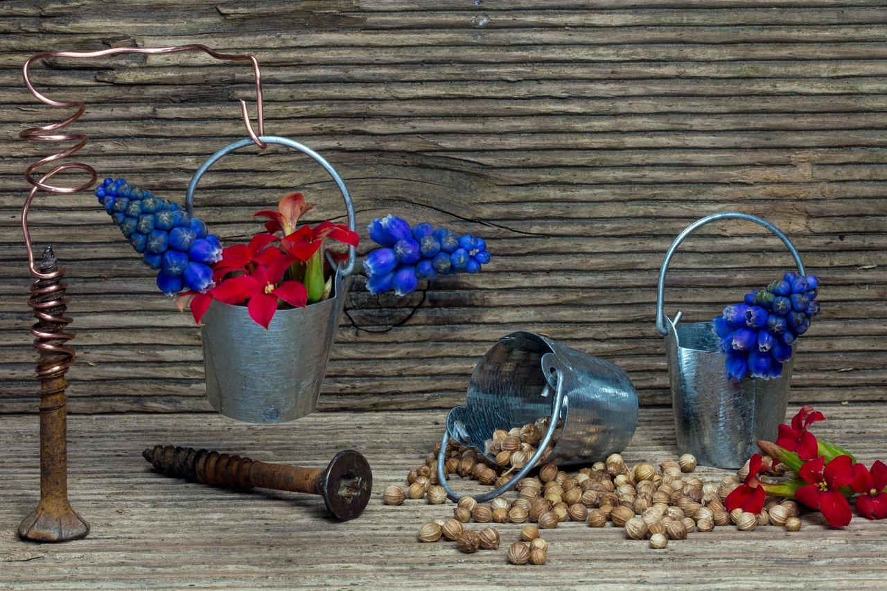 Still Life Screws Seeds - Free photo on Pixabay - Pixabay