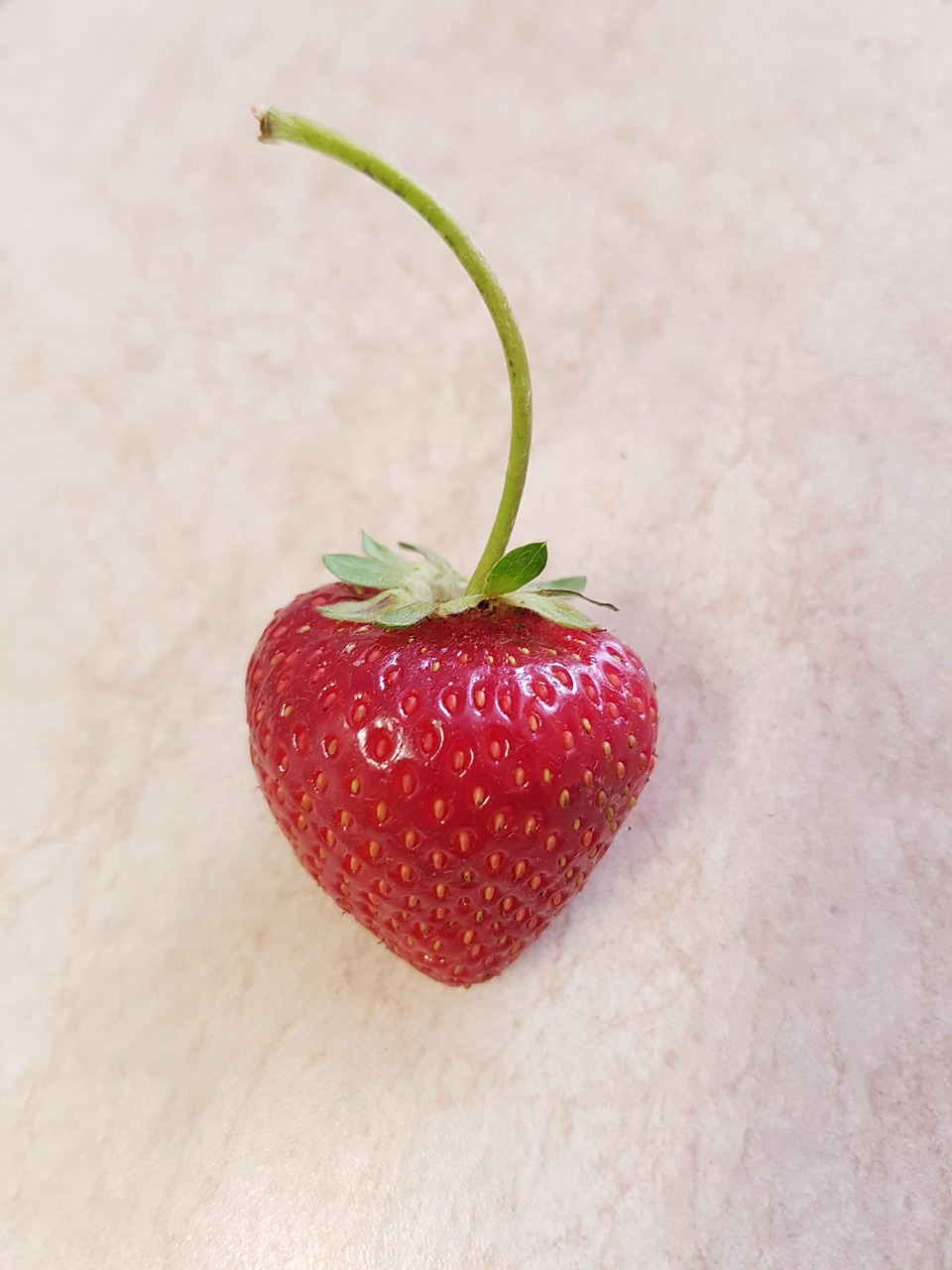 Strawberry Close Up Red Free Photo On Pixabay Pixabay