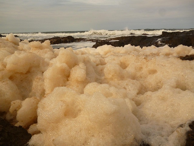 Espuma Mar Costa - Foto gratis en Pixabay - Pixabay