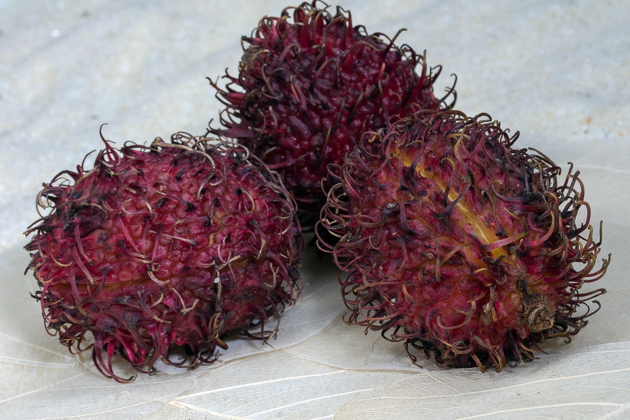 20,000+ Free Rambutan Fruit & Fruit Images - Pixabay
